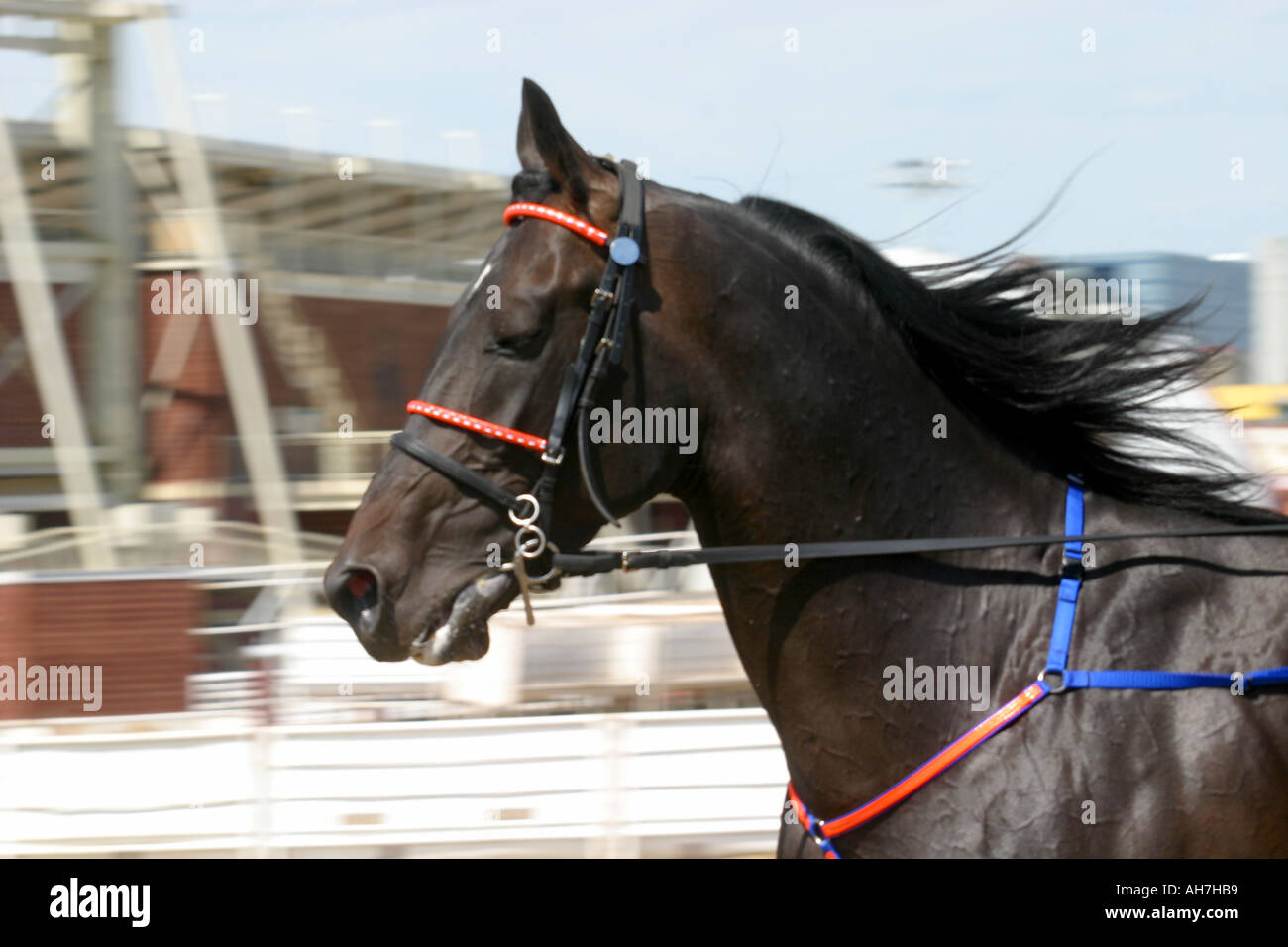 Jughead hi-res stock photography and images - Alamy