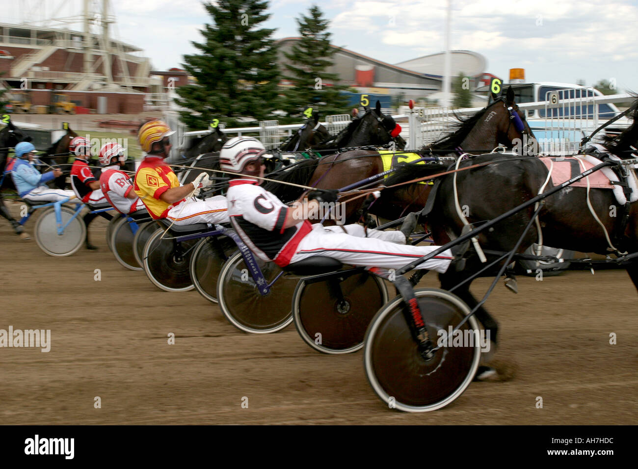 Standardbred harness racing Stampede Park Stampede Park Calgary Alberta ...
