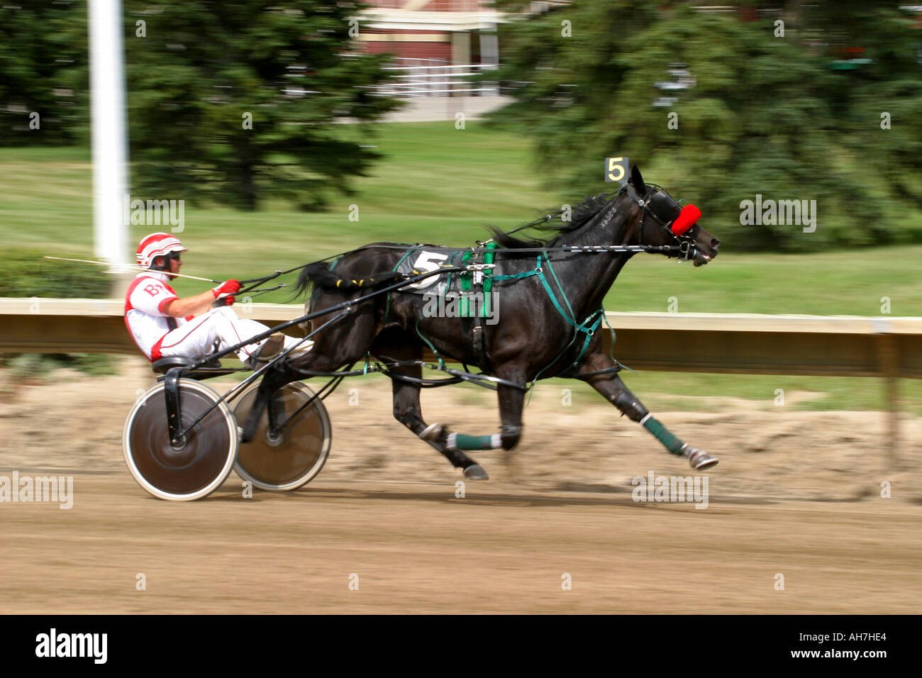 Standardbred hi-res stock photography and images - Alamy