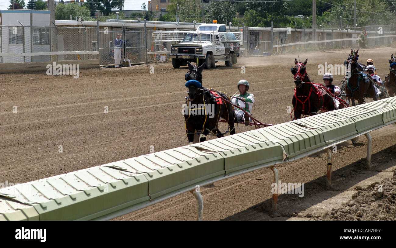 Standardbred pacer hi-res stock photography and images - Alamy