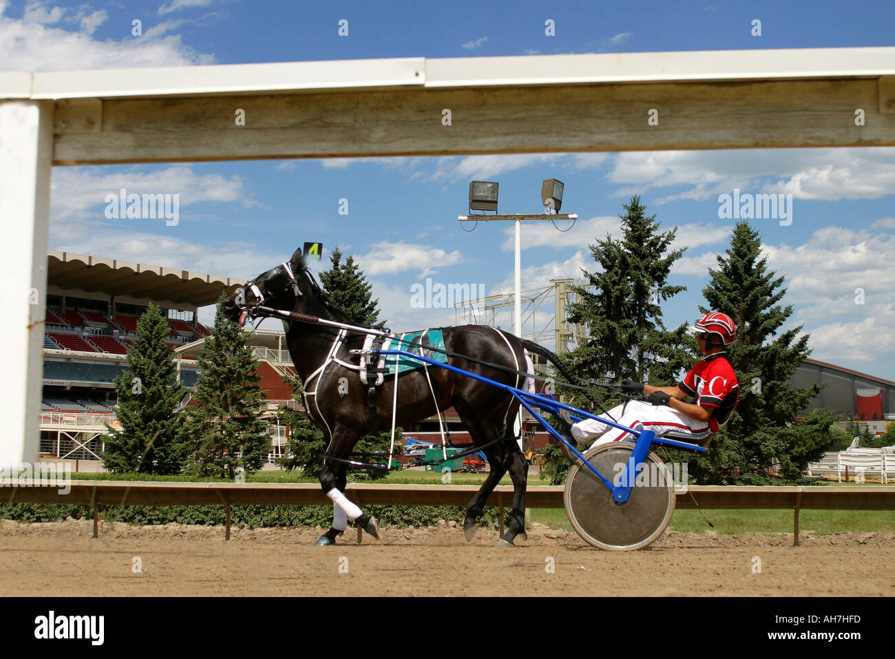 Standardbred pacer hi-res stock photography and images - Alamy