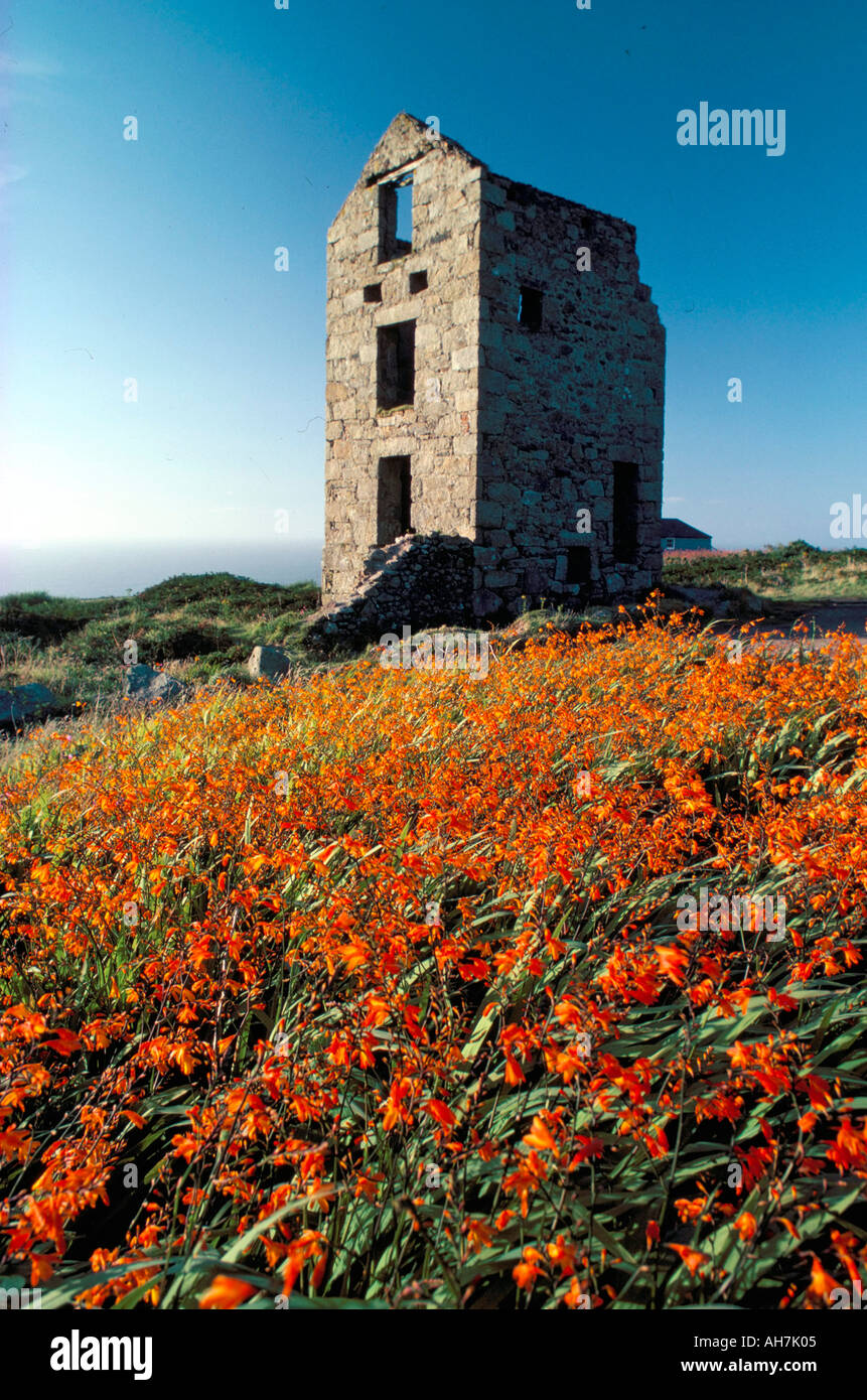 Mine building cornwall england hi-res stock photography and images - Alamy