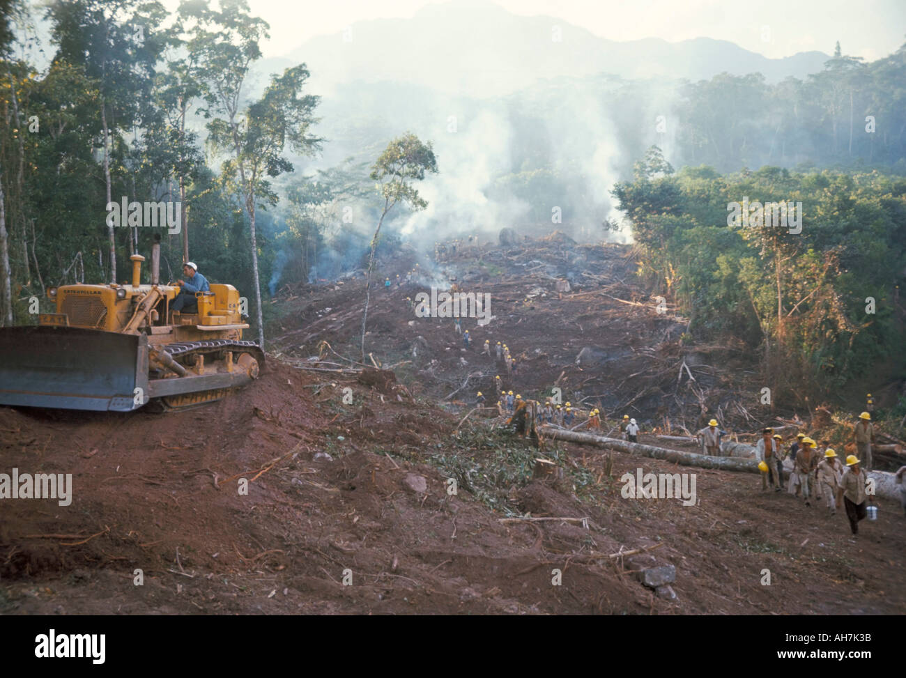 Clearing forest for building of the Forest Edge highway in high jungle ...