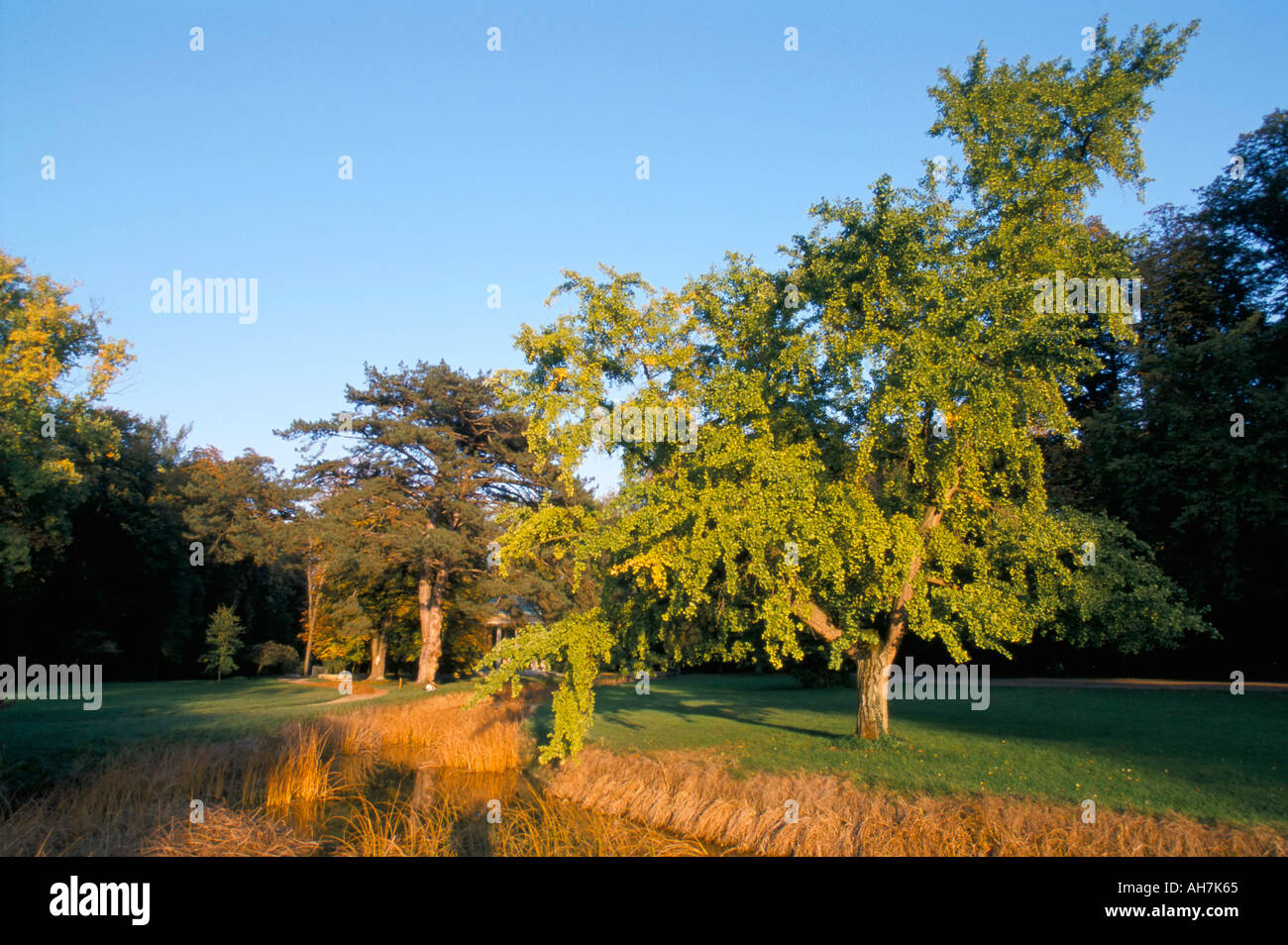 Versailles trianons gardens hi-res stock photography and images - Alamy