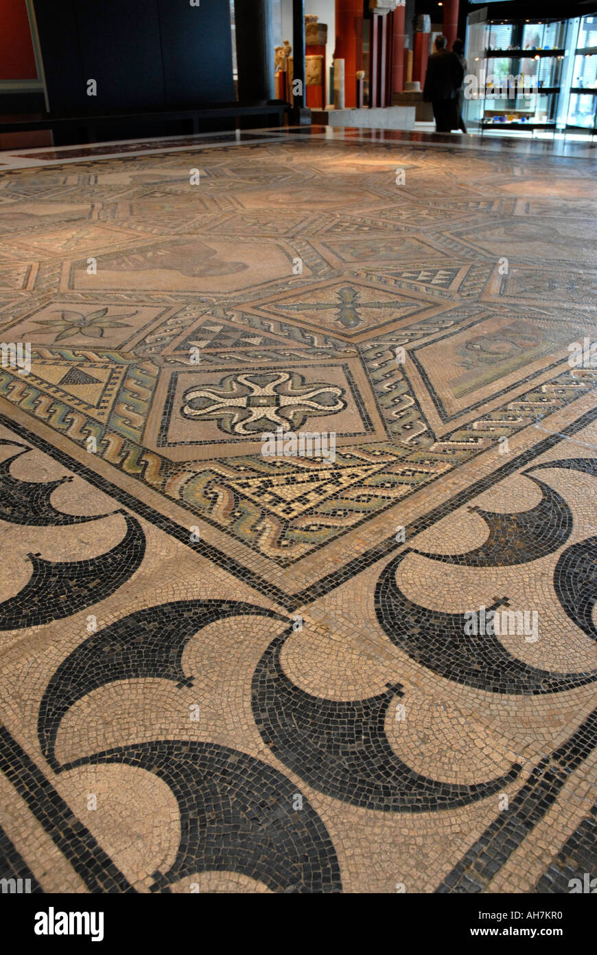 Large roman mosaic on display in the Romisch Germanisches museum ...