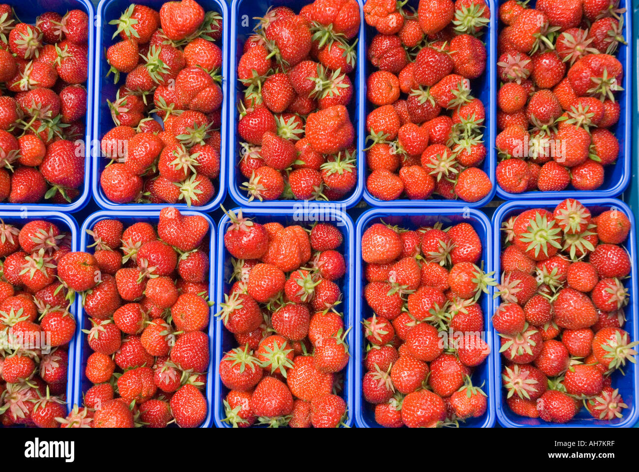 Punnets of strawberries Stock Photo - Alamy