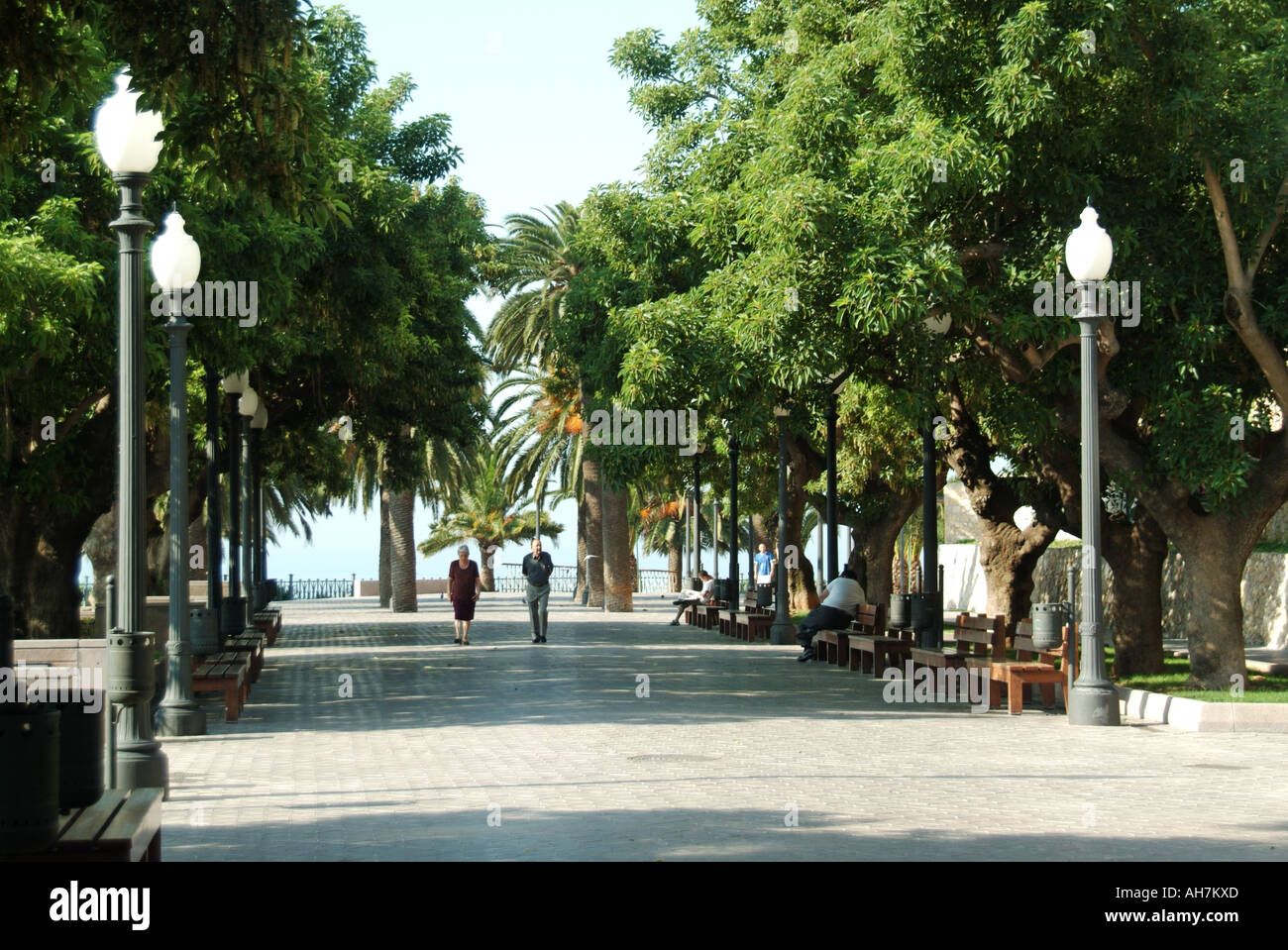 Couple strolling along Spanish tree lined shady promenade with people ...