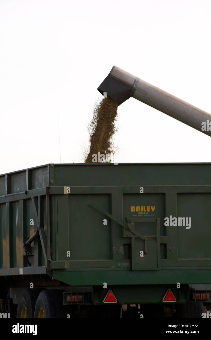 combine, harvester, harvest, harvesting, reap, growing, crop, crops ...