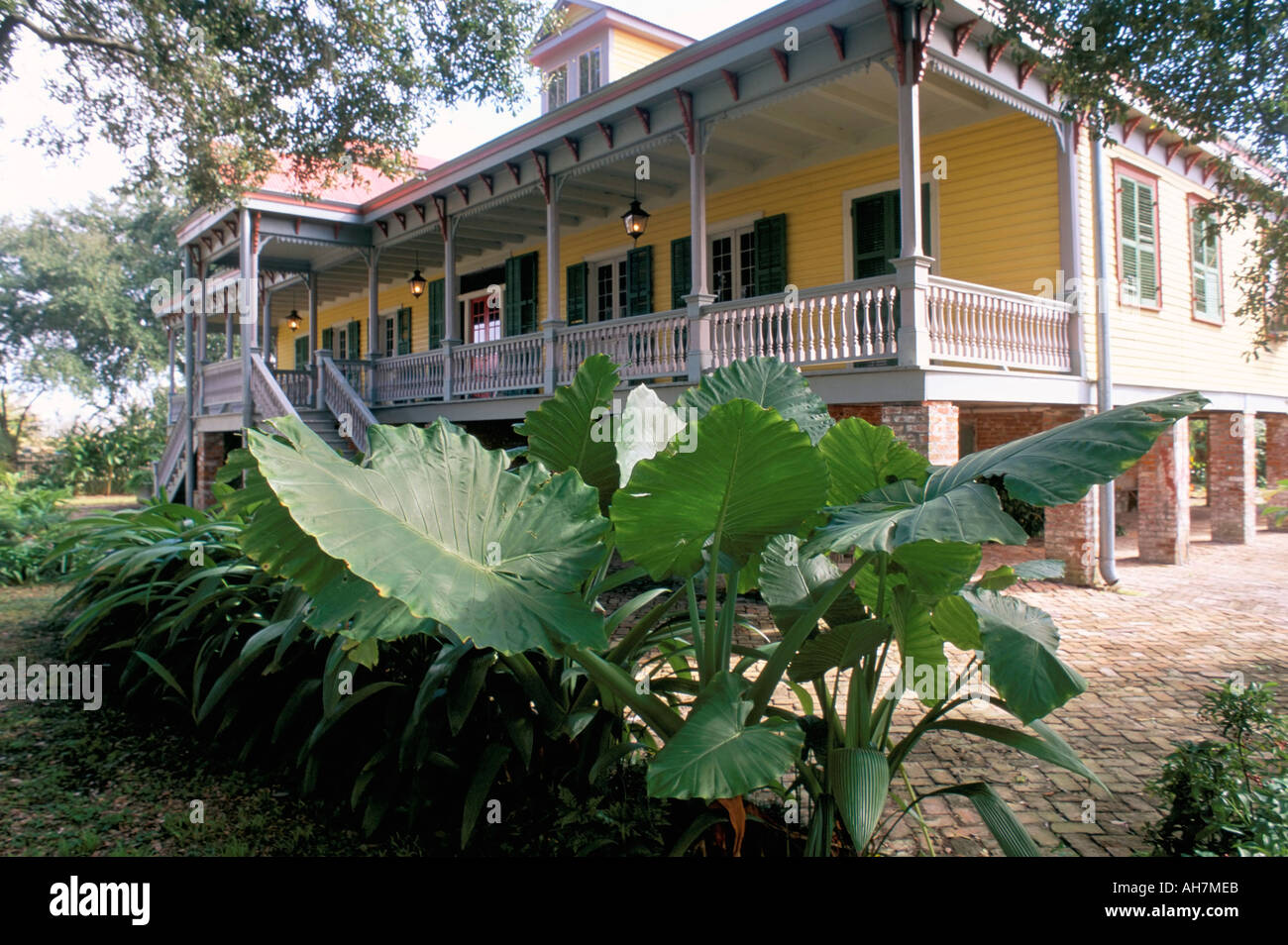 Laura plantation hi-res stock photography and images - Alamy