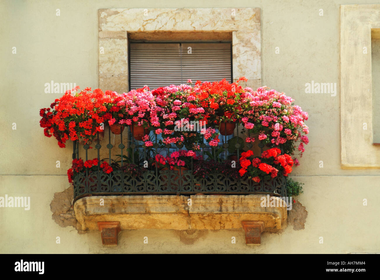 Floral window displays hi-res stock photography and images - Alamy