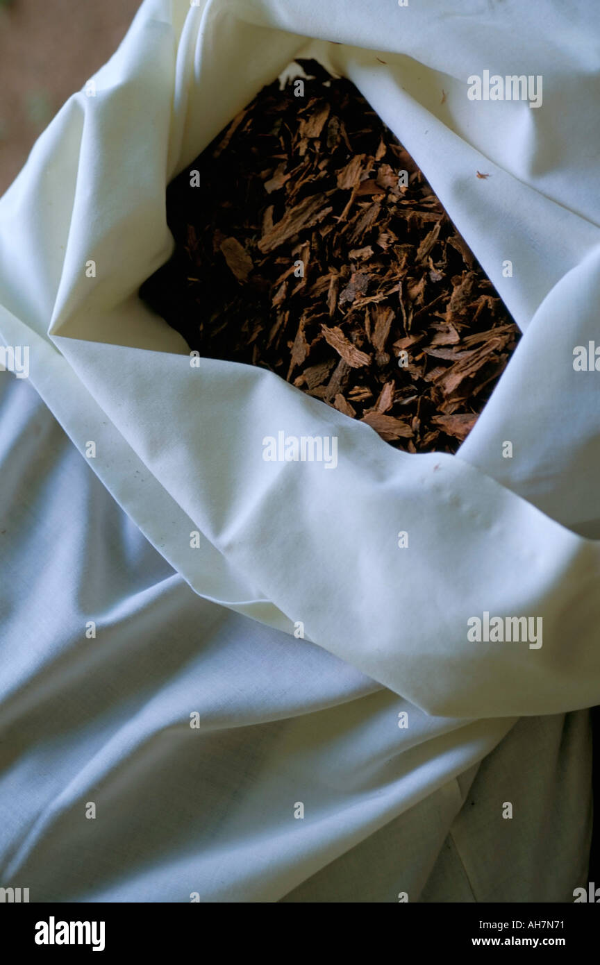 Cinnamon bark island of Mahe Seychelles Indian Ocean Africa Stock Photo ...