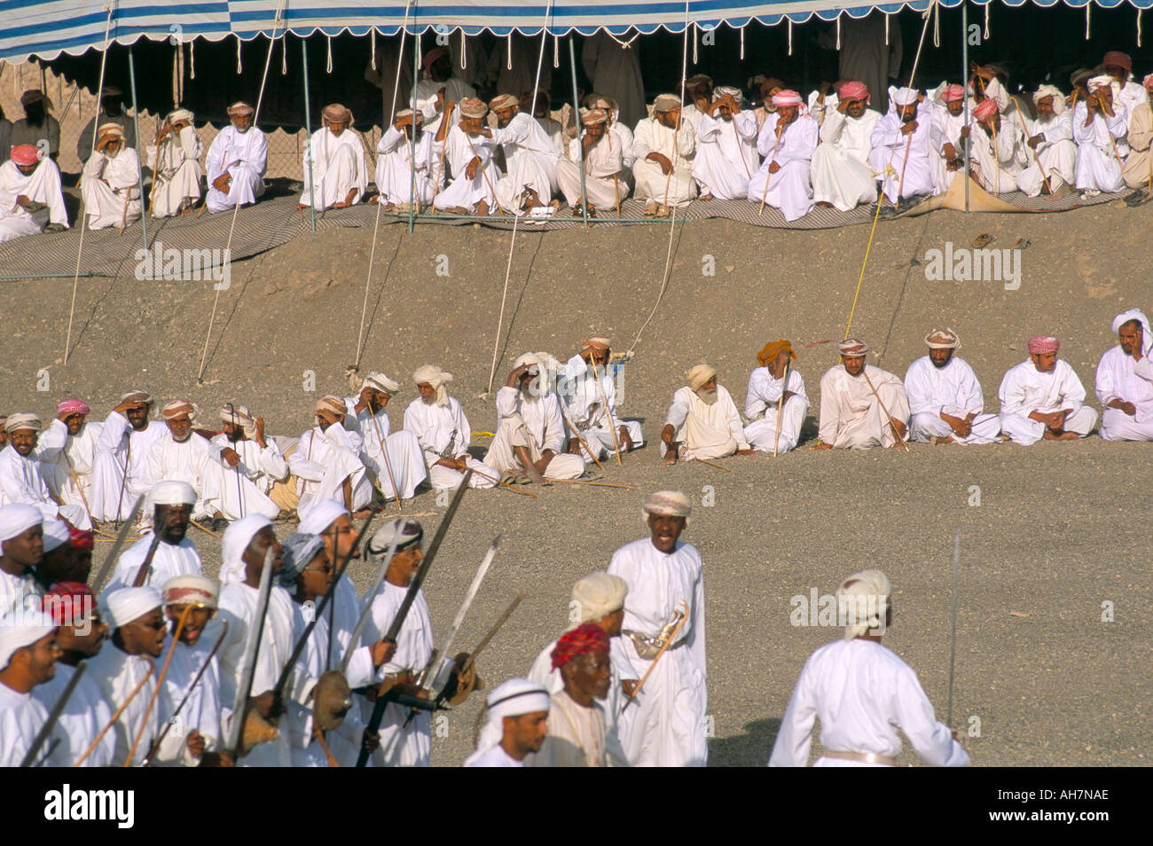 Camel racing Mudaibi region Sultanate of Oman Middle East Stock Photo ...
