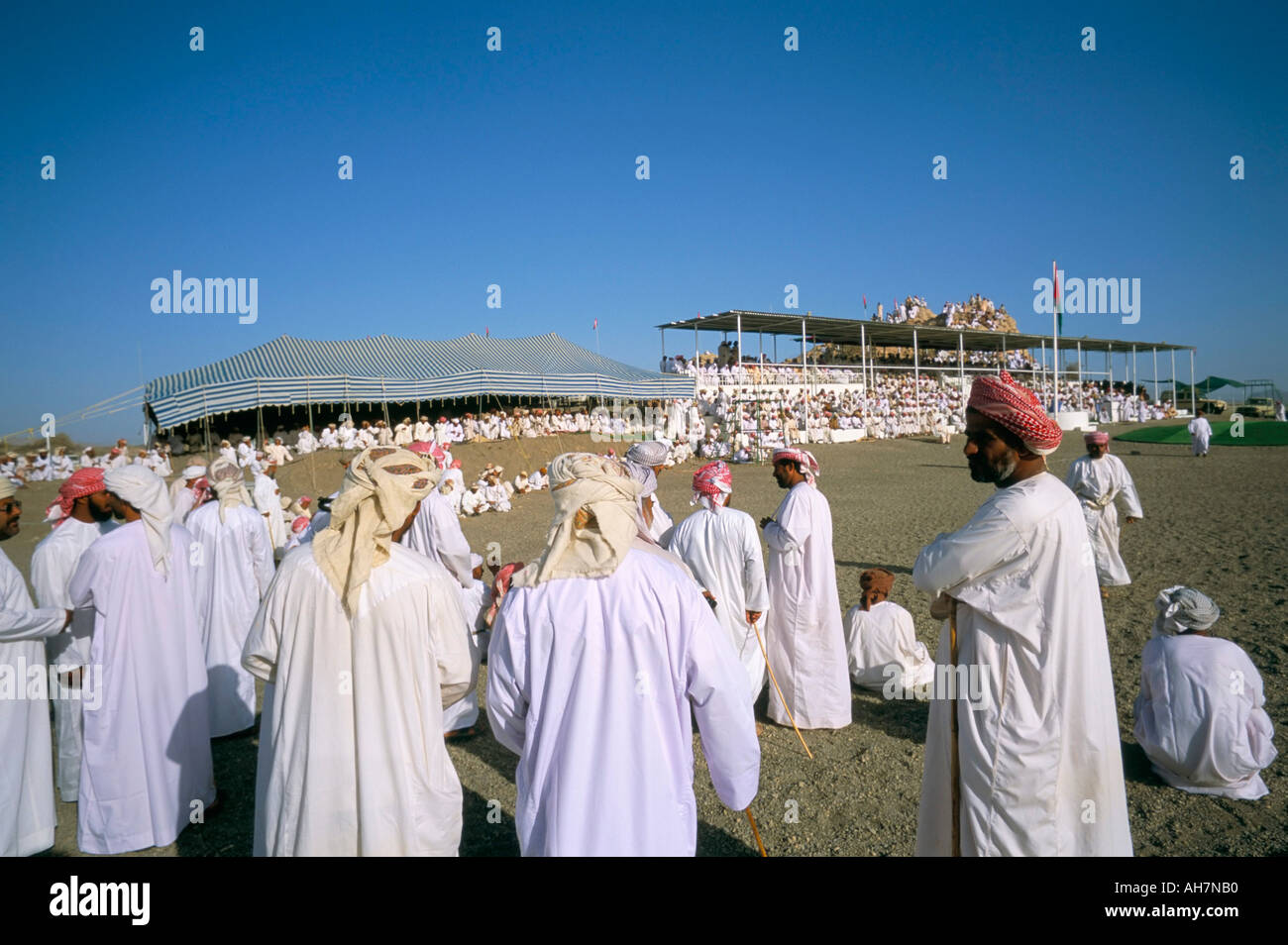 Camel racing Mudaibi region Sultanate of Oman Middle East Stock Photo ...
