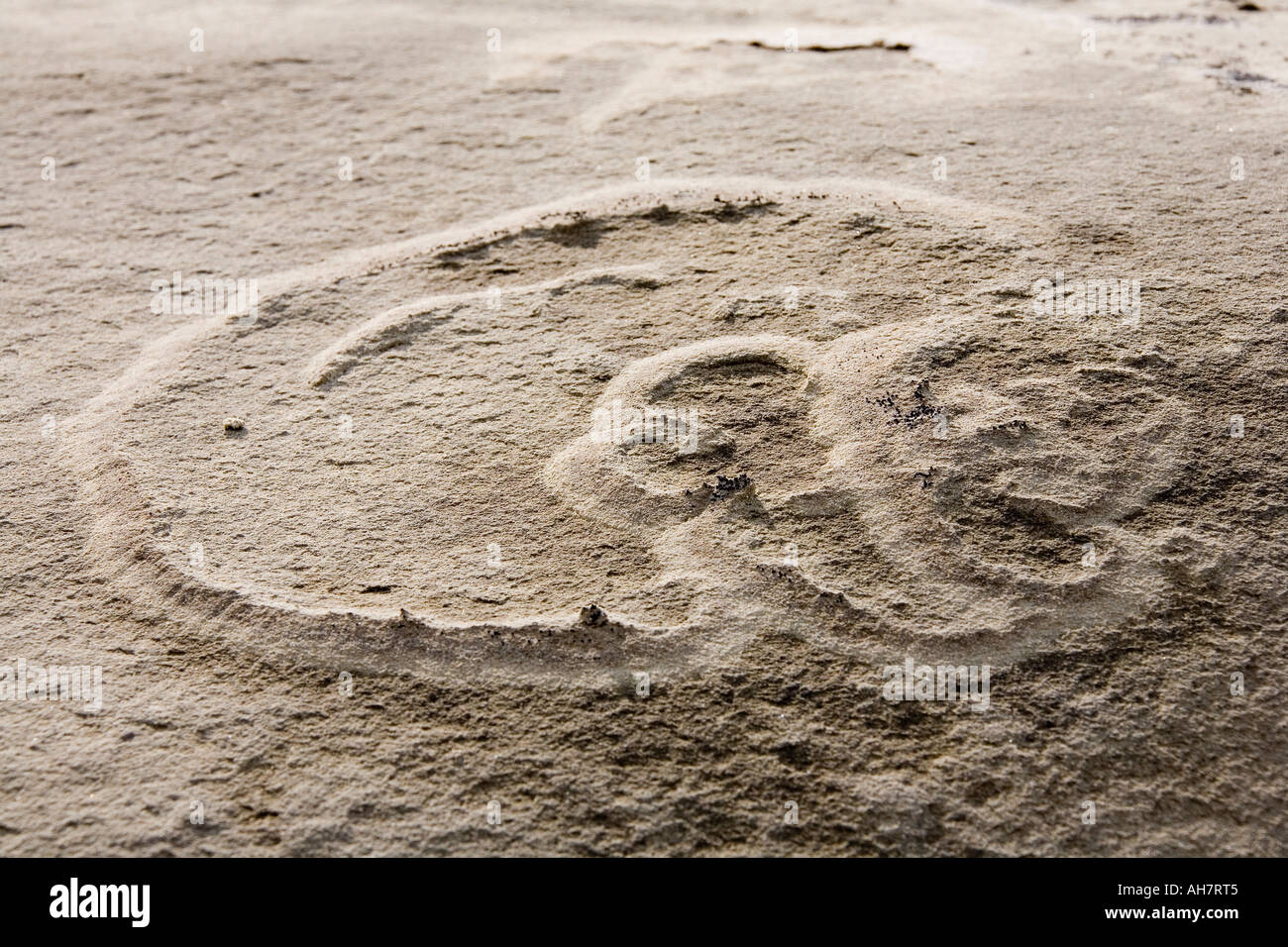Circular texture pattern on sandstone rock Stock Photo - Alamy