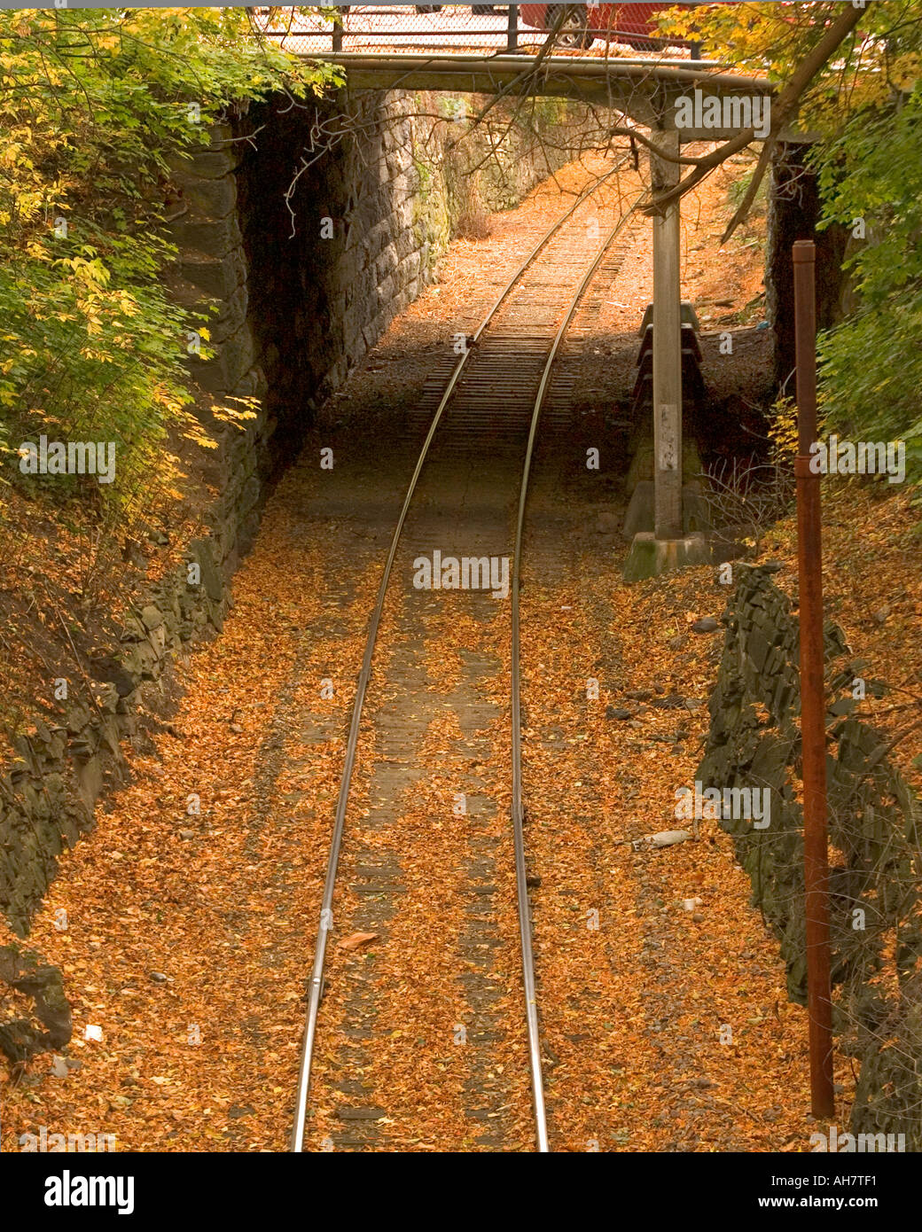 Railroad through leaf tunnel hi-res stock photography and images - Alamy