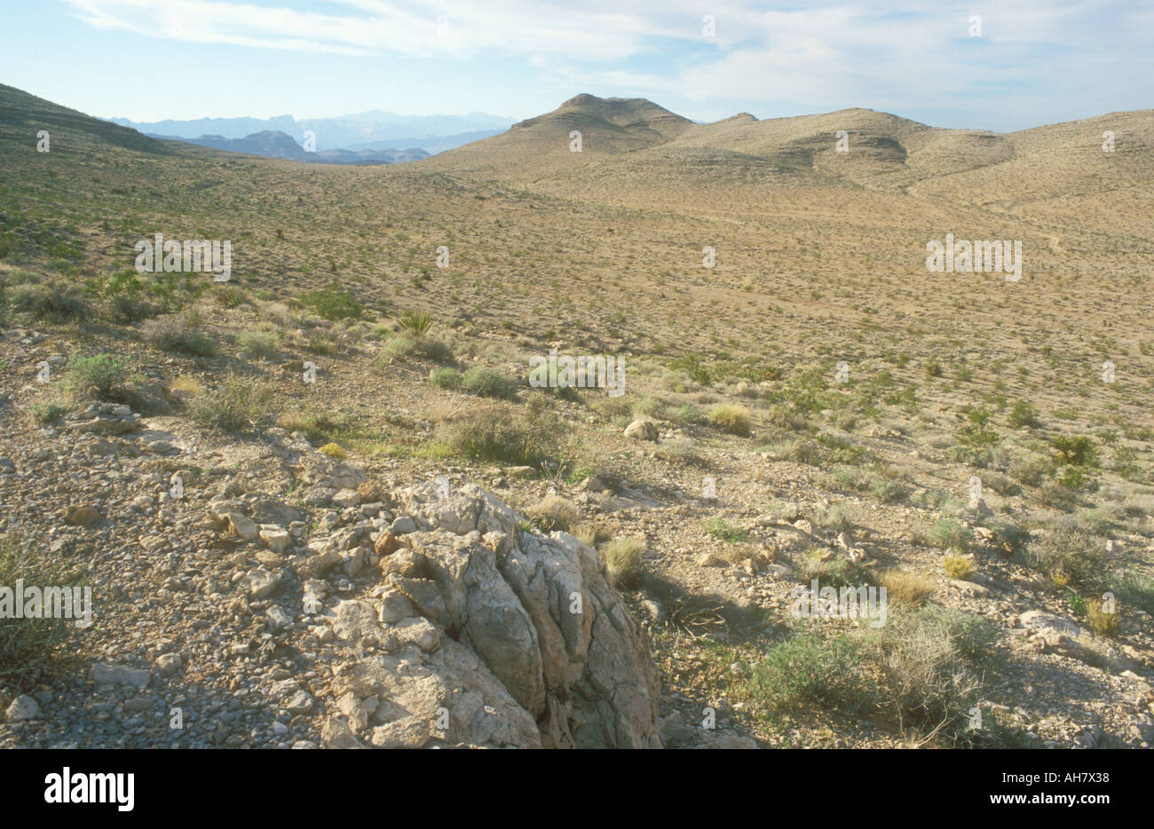 The apparent barrenness of a Mojave Desert scene Stock Photo - Alamy