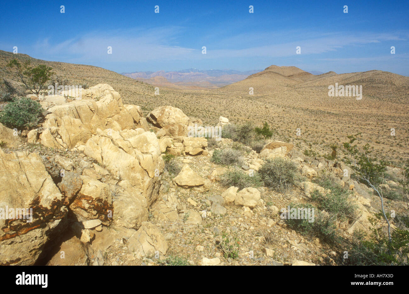 The apparent barrenness of a Mojave Desert scene Stock Photo - Alamy