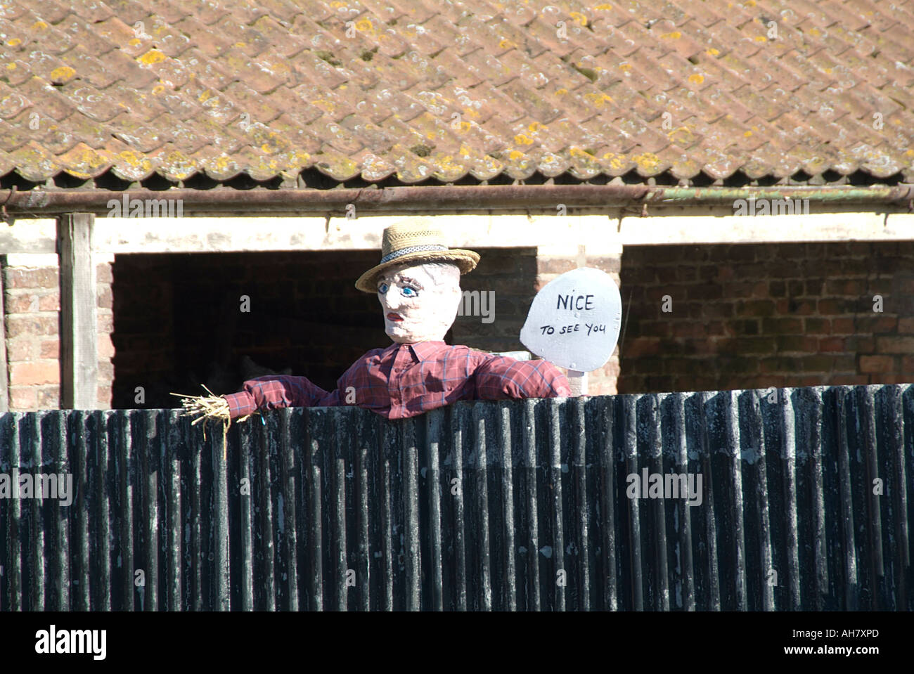Scarecrow nice farm farmer dummy hi-res stock photography and images ...