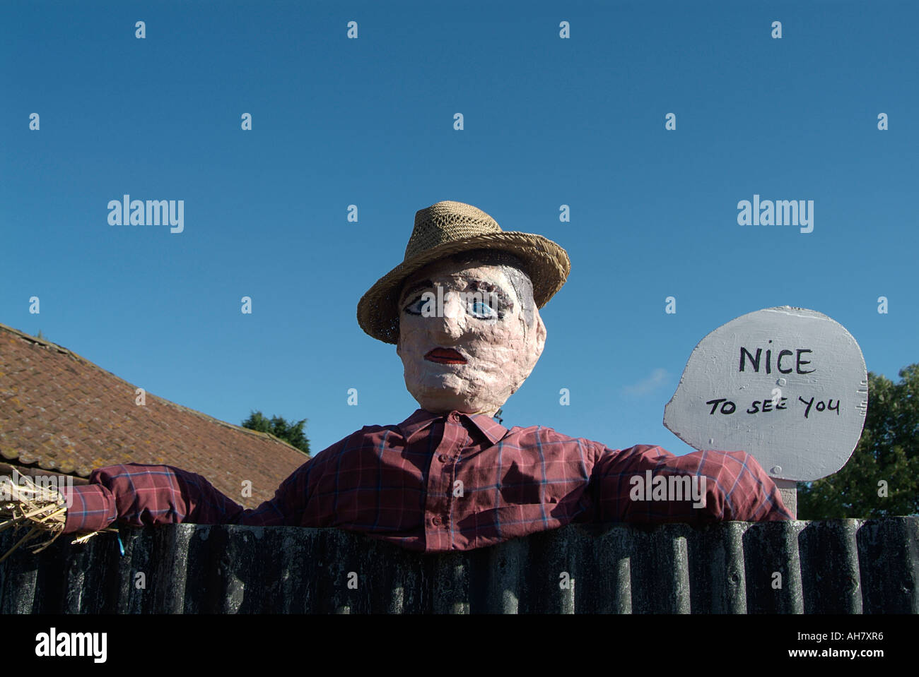 Scarecrow, nice, to, see, you, farm, farmer, dummy, hat, straw, person ...