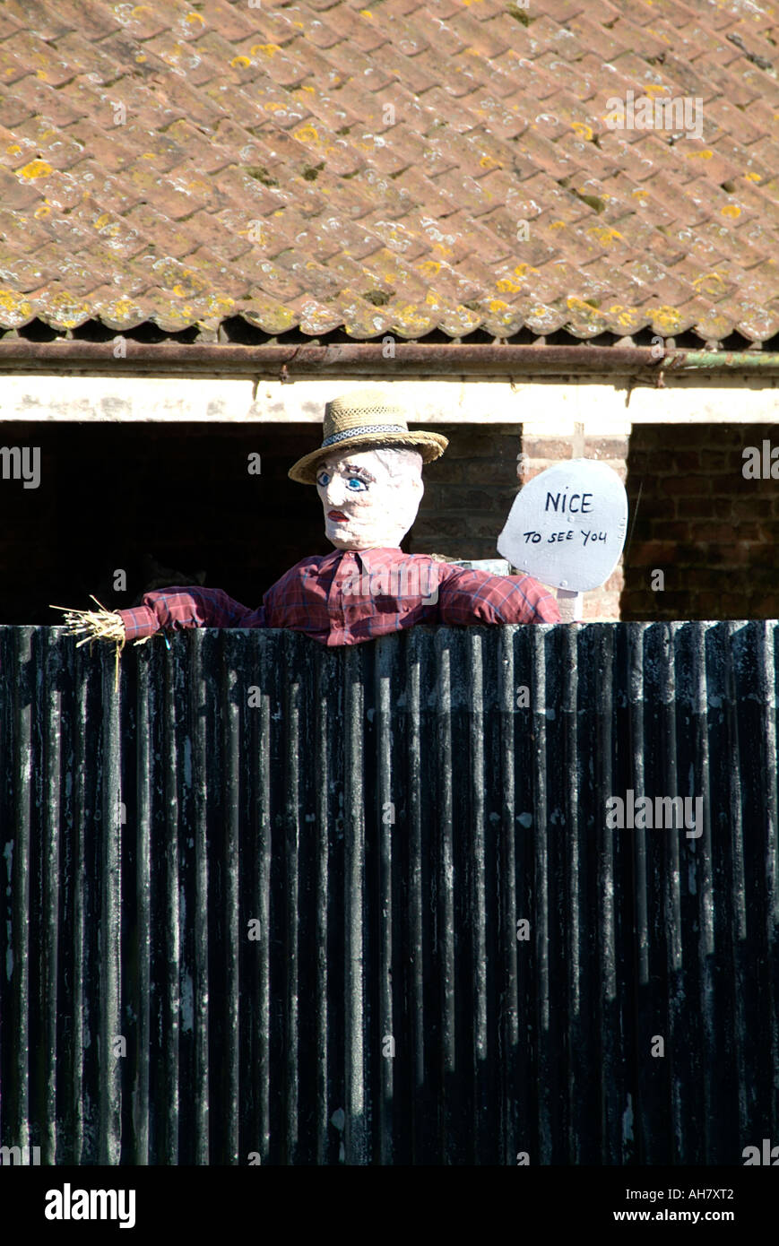 Scarecrow nice farm farmer dummy hi-res stock photography and images ...