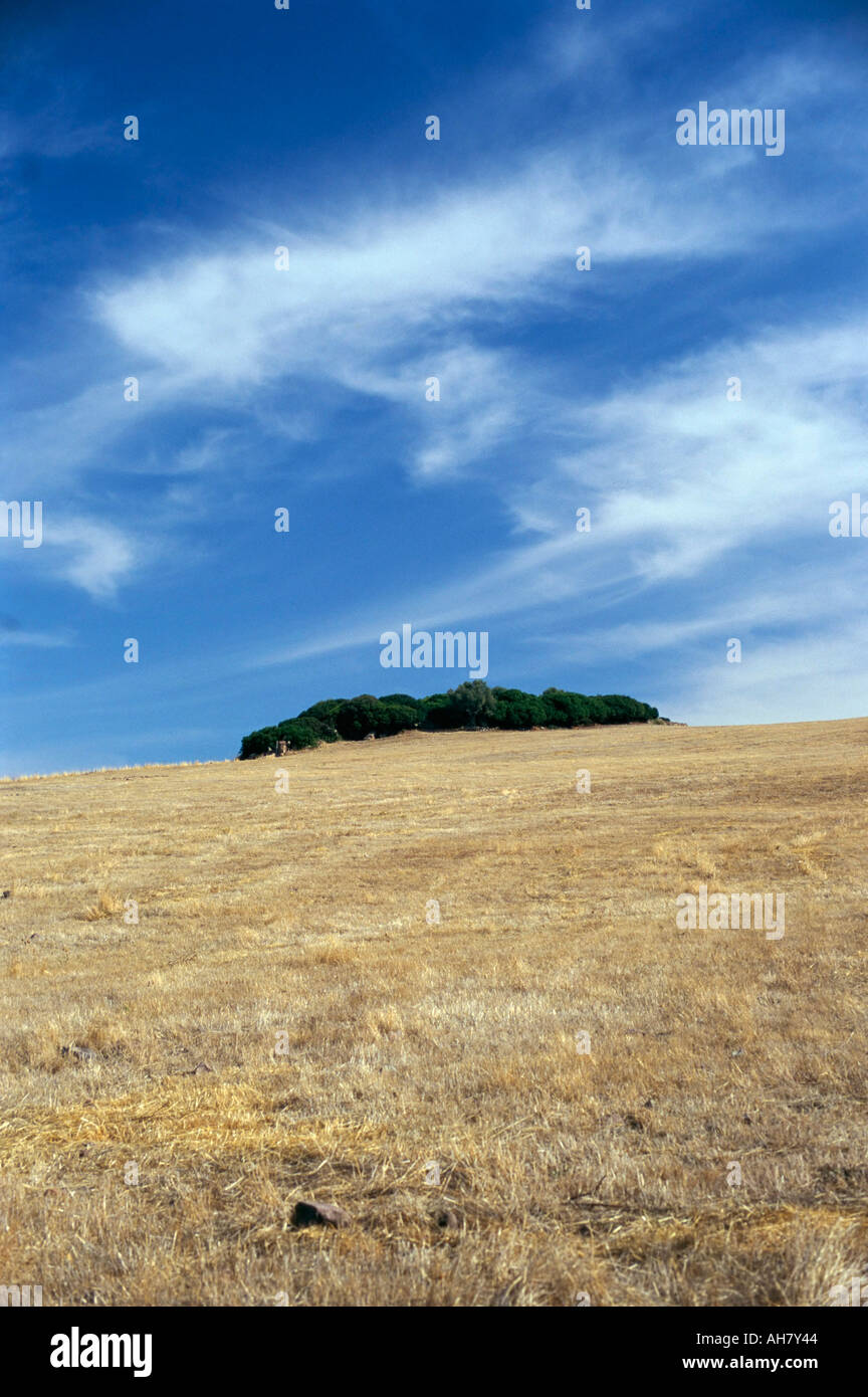 Barbagia island of Sardinia Italy Mediterranean Europe Stock Photo - Alamy