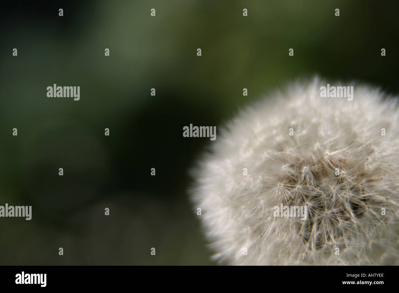 Poof cloud hi-res stock photography and images - Alamy