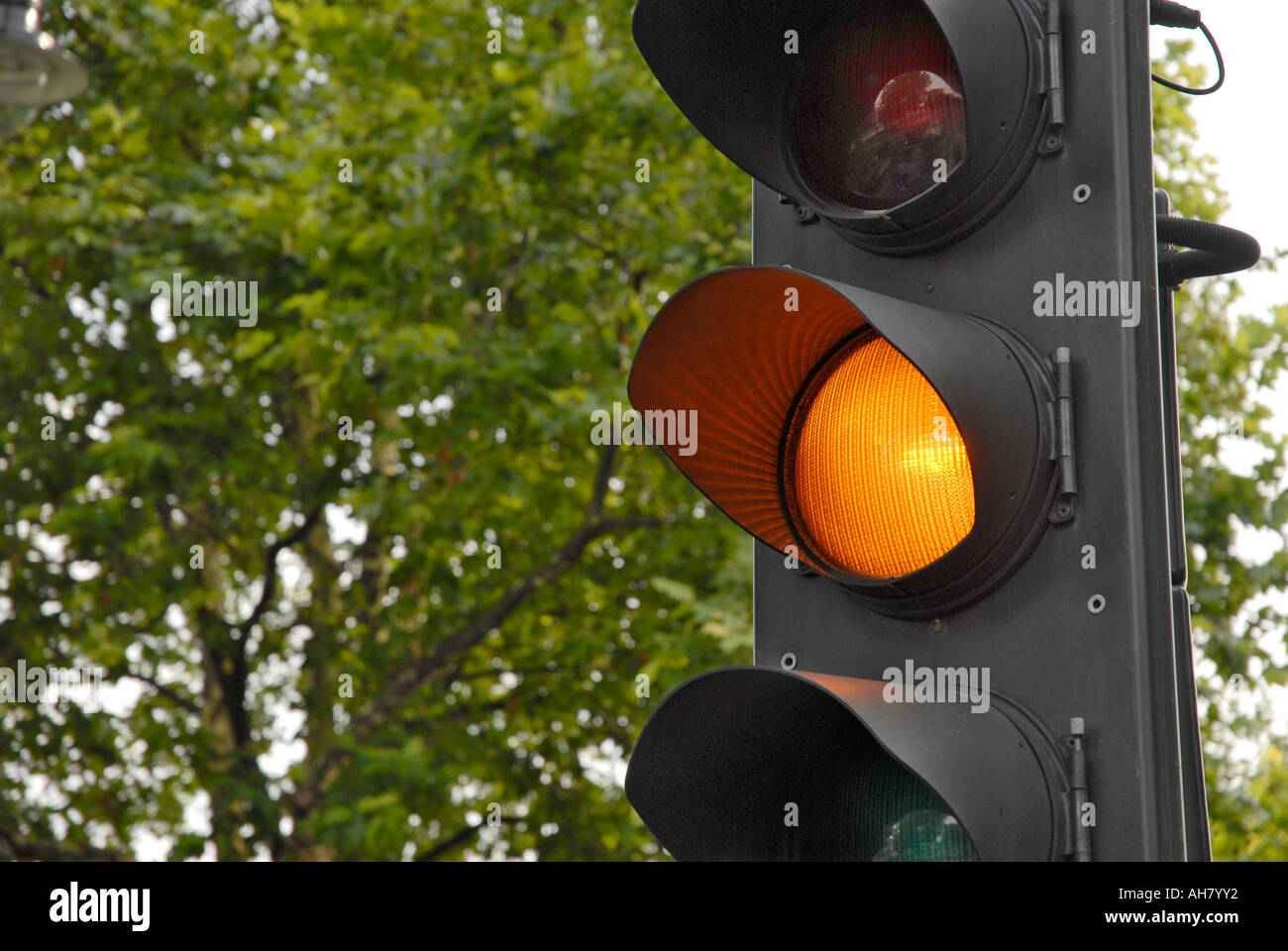 traffic light on amber Stock Photo - Alamy