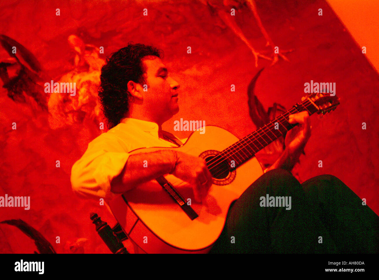 Flamenco stage and musician in Seville Spain Stock Photo - Alamy
