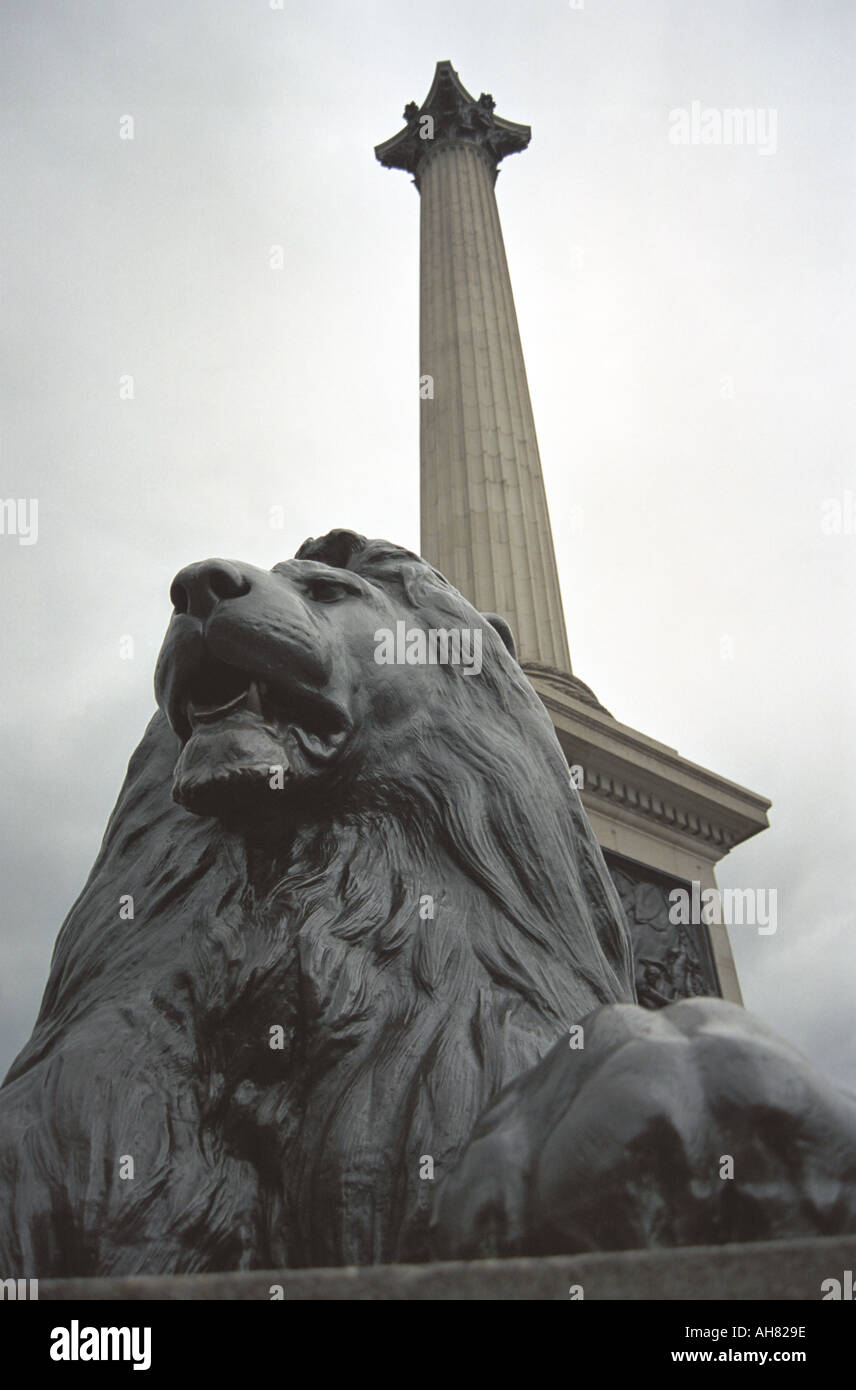 Lions at Trafalgar square Stock Photo - Alamy
