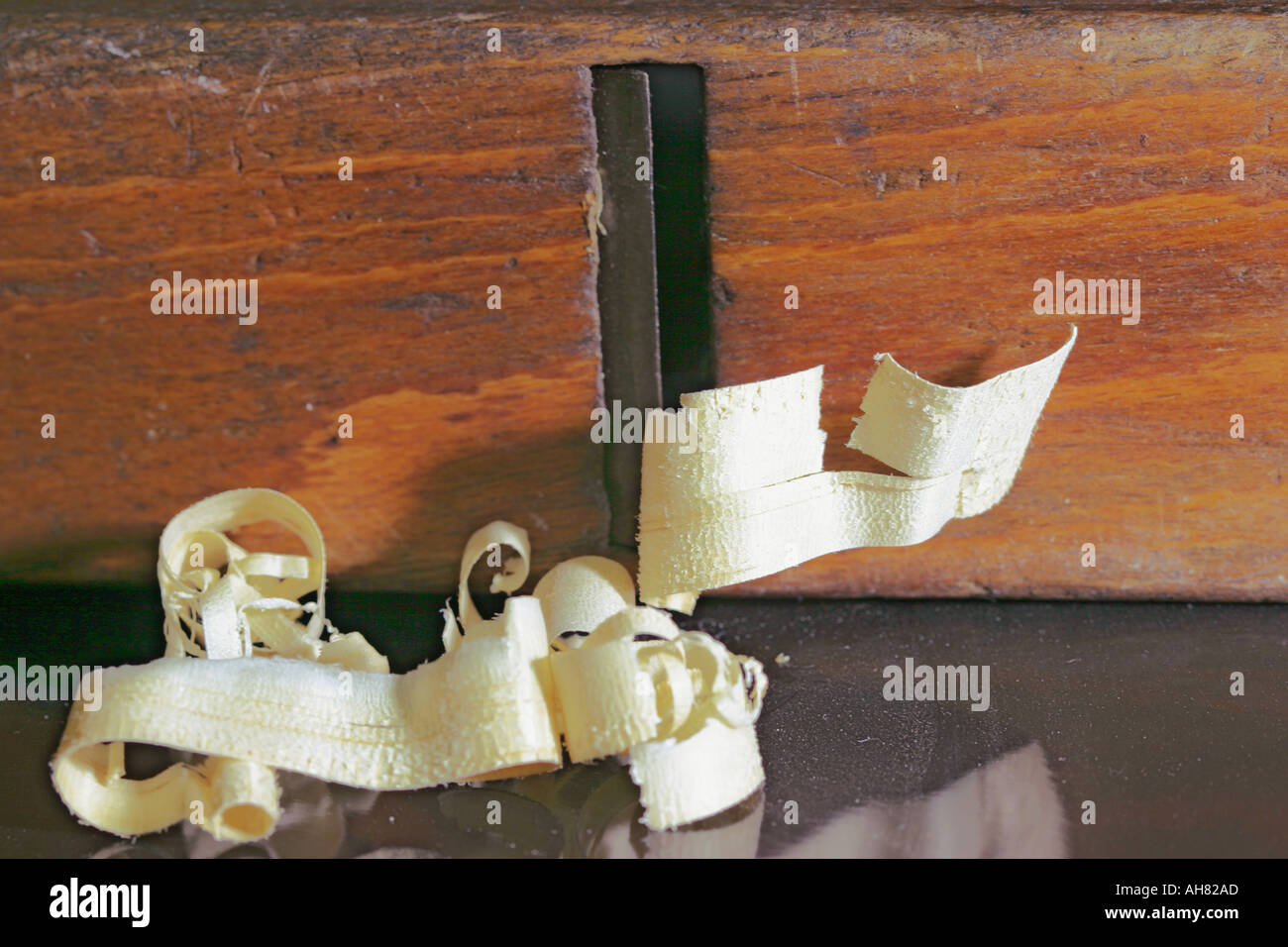 Wood shavings on wood plane blade Stock Photo - Alamy
