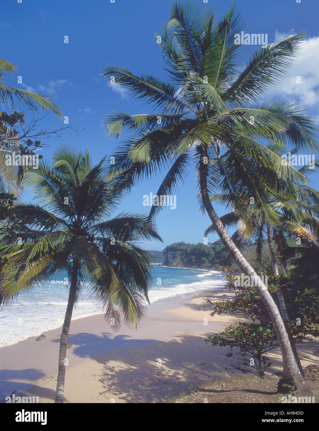 Playa grande and dominican republic hi-res stock photography and images ...