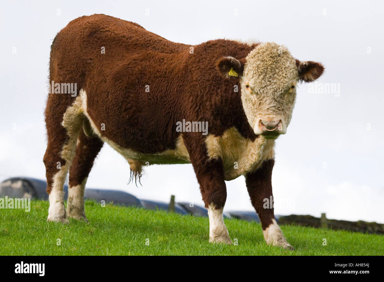 Padfield hi-res stock photography and images - Alamy
