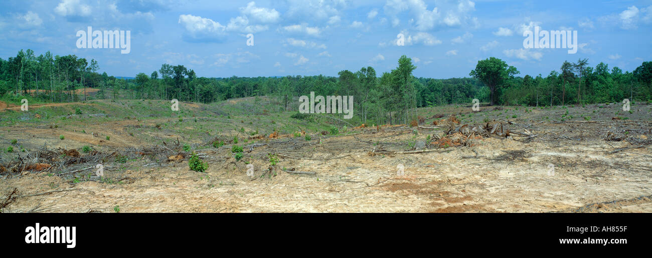 Clear cutting virginia hi-res stock photography and images - Alamy