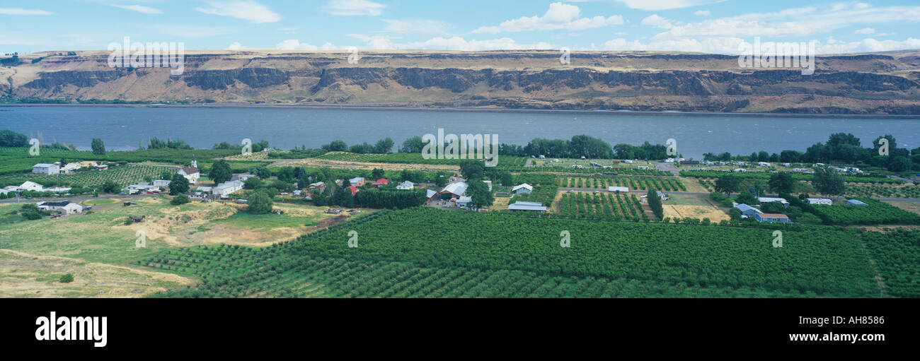 Fruit Orchards Columbia River Gorge Washington Stock Photo - Alamy