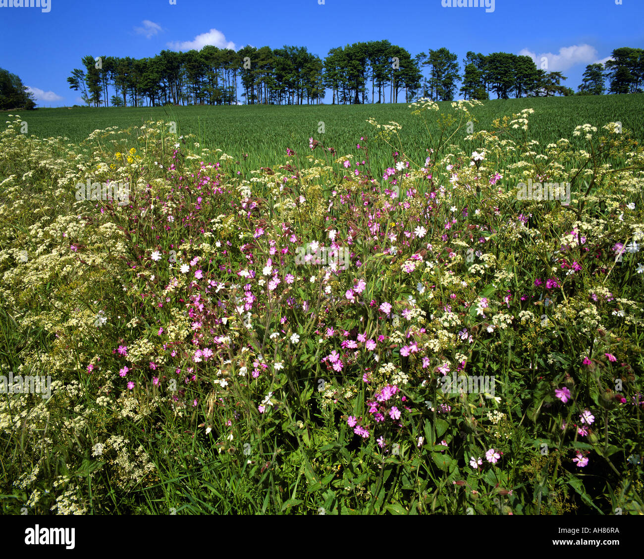 Cotswold landscape hi-res stock photography and images - Alamy