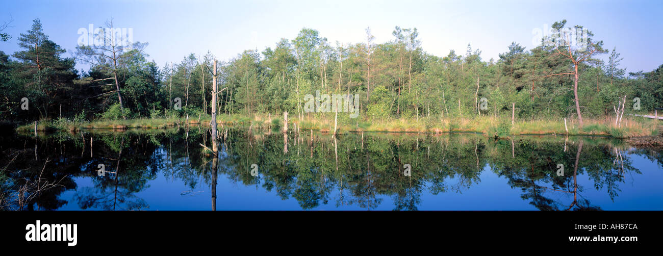 Pietzmoor moor hi-res stock photography and images - Alamy