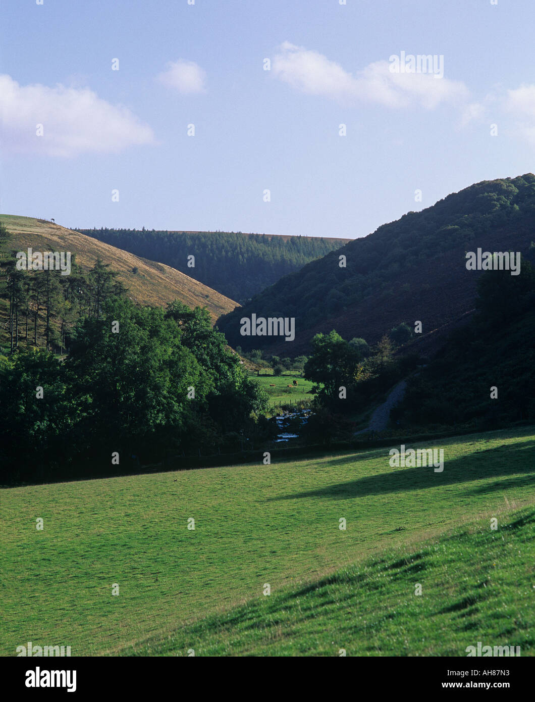 Doone valley wood hi-res stock photography and images - Alamy