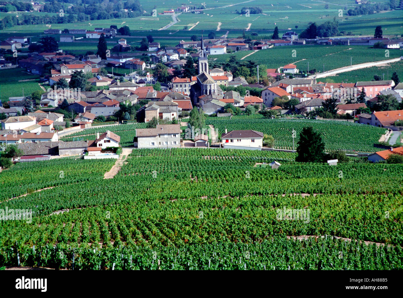 Fleurie france wine hi-res stock photography and images - Alamy