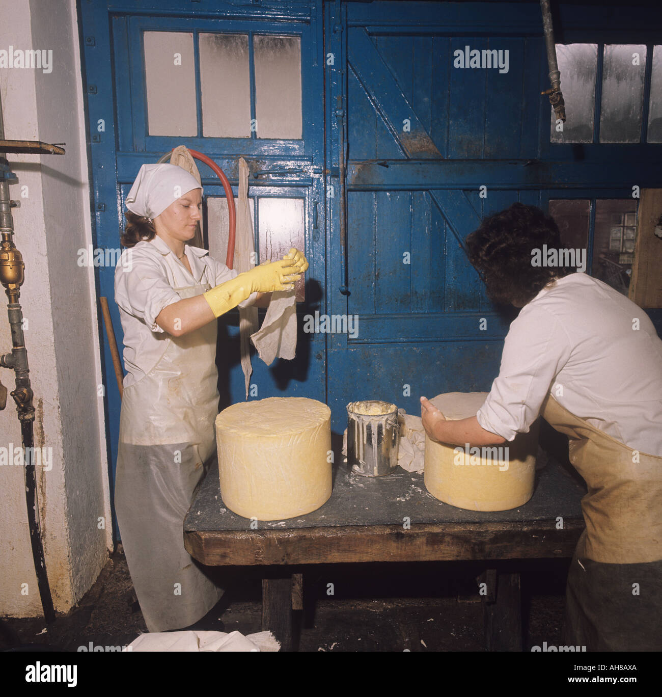 finishing chedar cheeses Stock Photo - Alamy