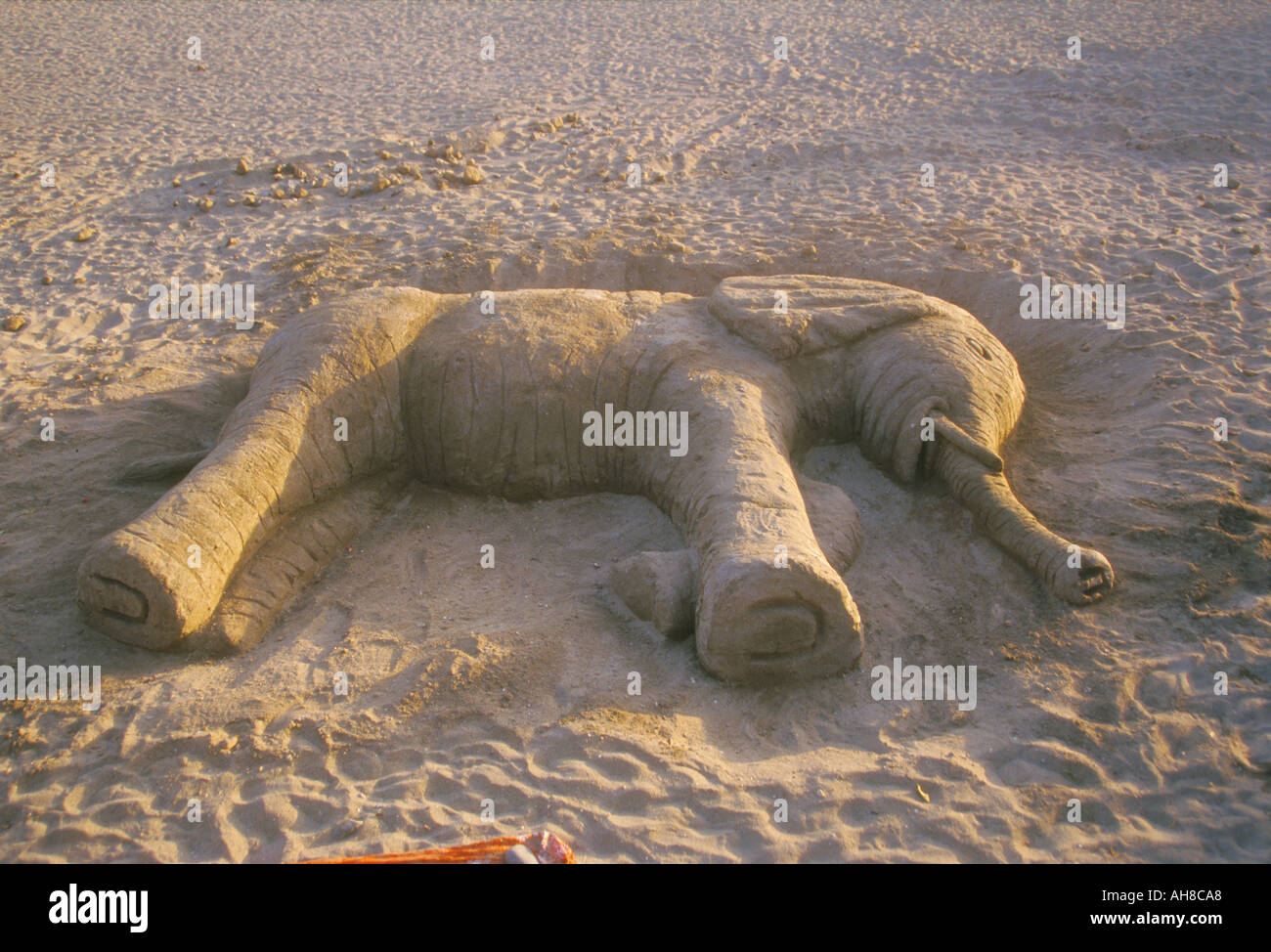 Sand elephant sculpture hi-res stock photography and images - Alamy