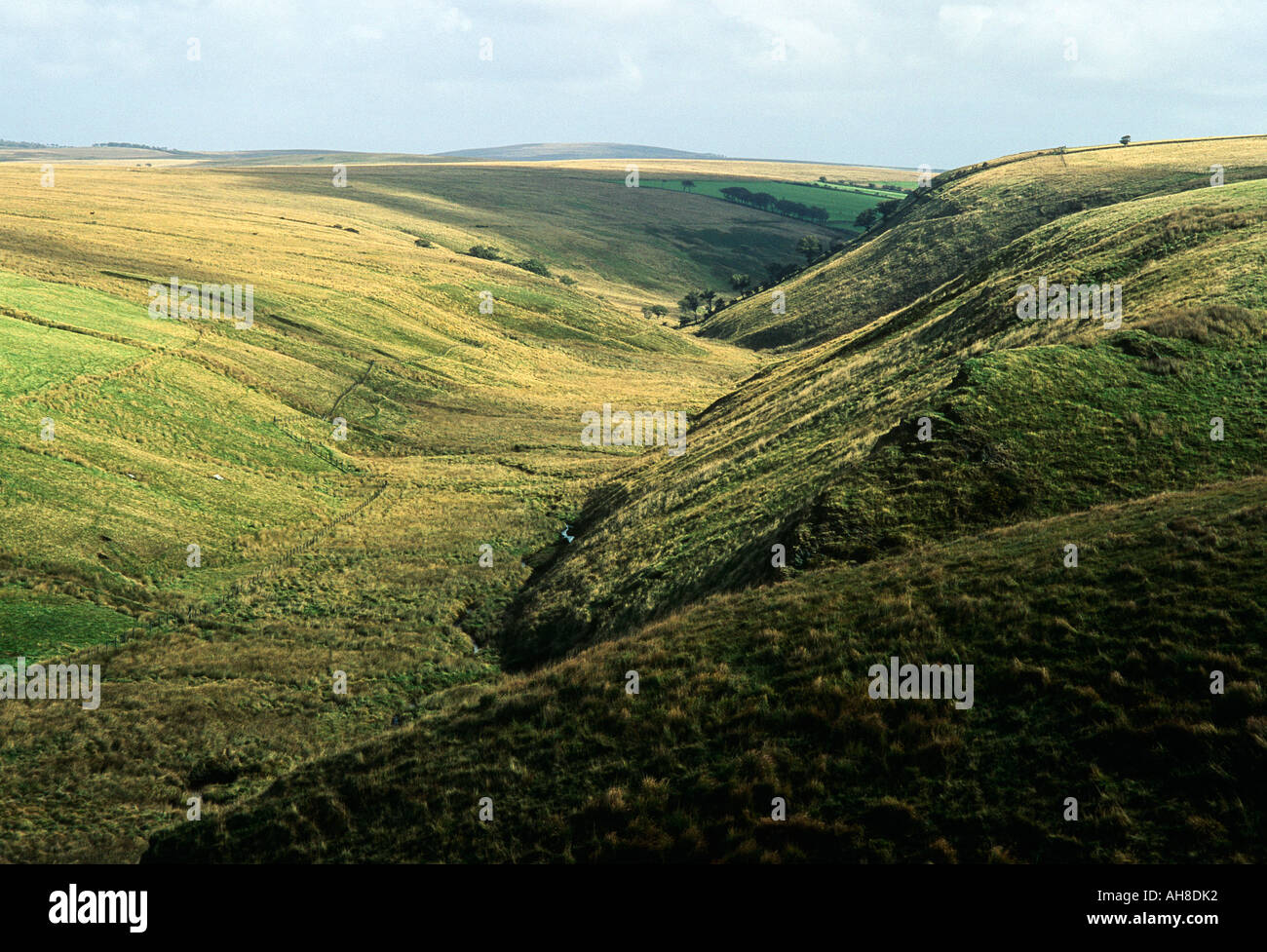 Exe head hi-res stock photography and images - Alamy