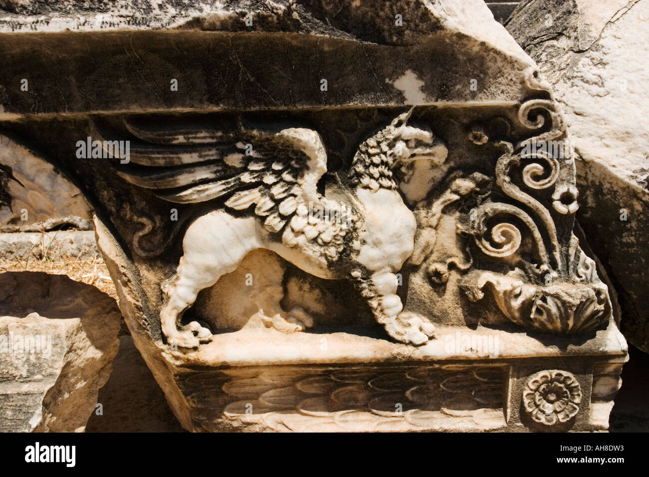 Fallen carved stone gryphon lintel at Apollo Temple Didim Altinkum ...