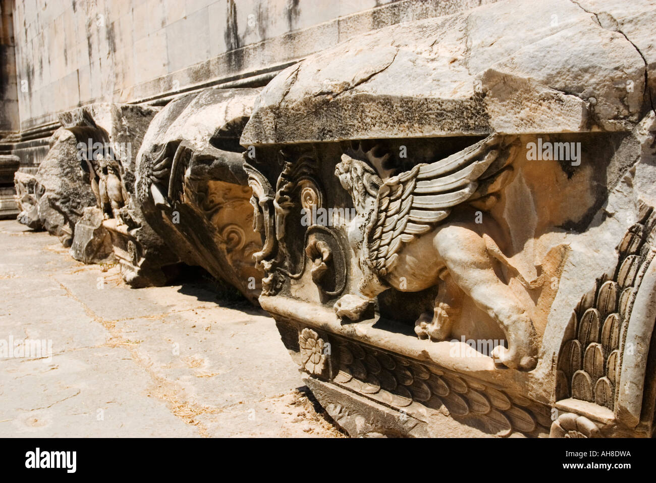 Fallen carved stone gryphon lintel at Apollo Temple Didim Altinkum ...