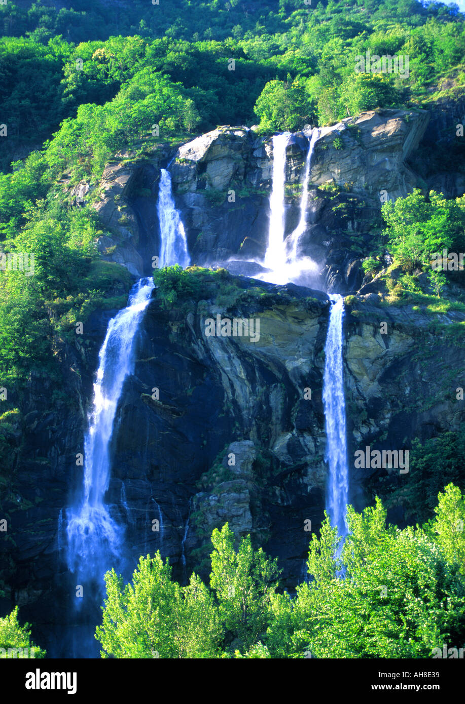 I10239 hi-res stock photography and images - Alamy