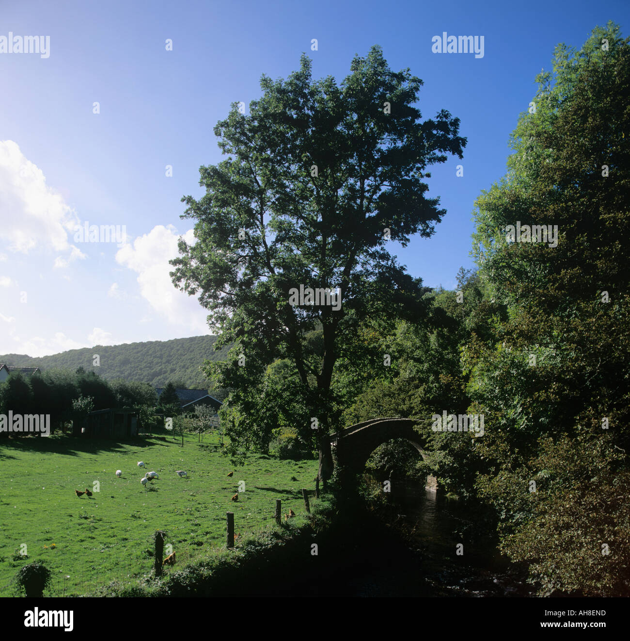 Old stone arched bridge over the East Lyn River at Brendon North Exmoor ...