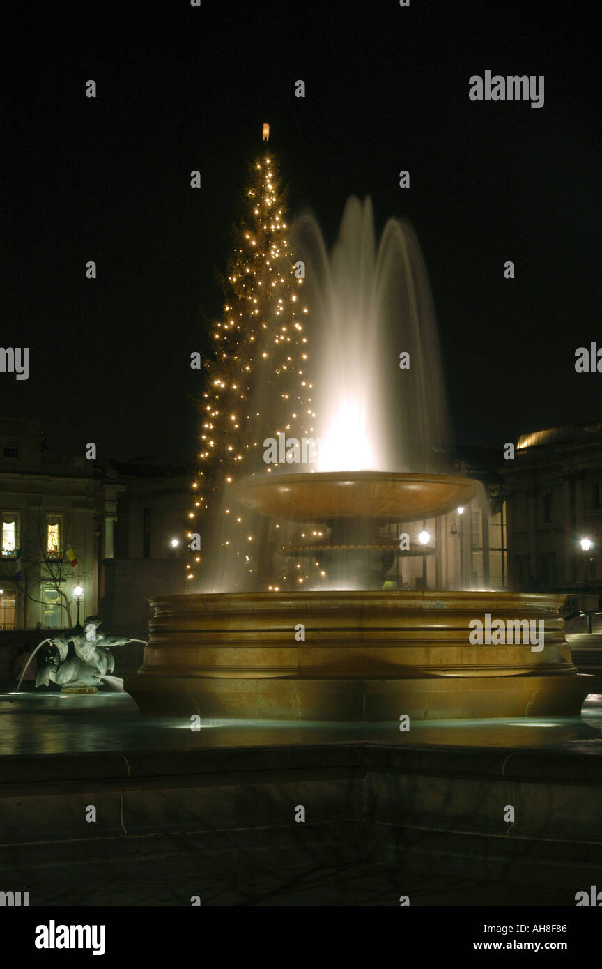 Christmas tree lights and tree and fountain at Trafalgar Square London ...