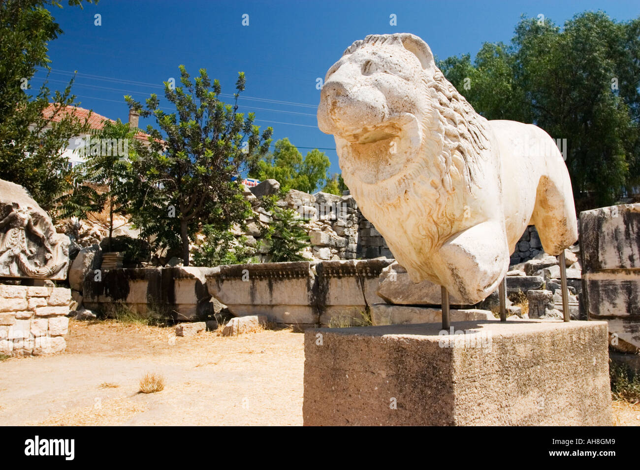 Large stone lion statue at ancient Apollo Temple at Didim, near ...