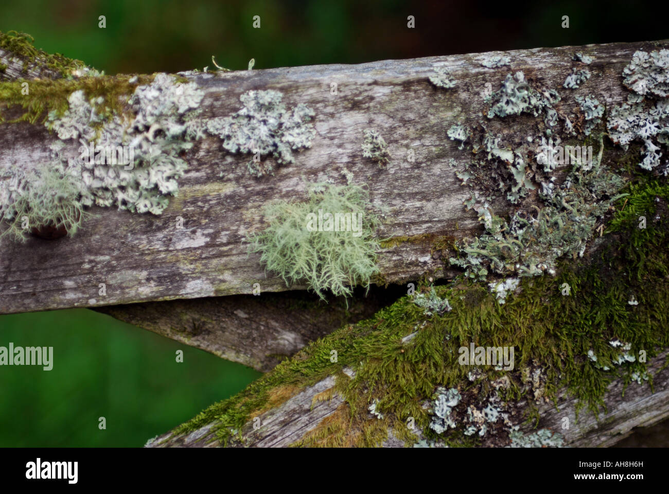 Rotting timber gate near Kennick Reservoir on Dartmoor Stock Photo - Alamy