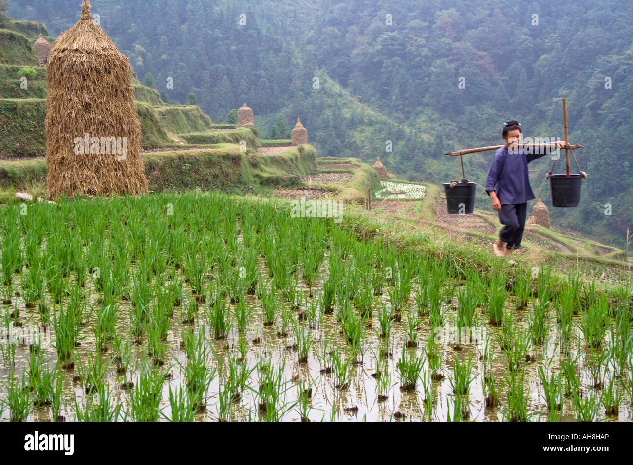 Dong village hi-res stock photography and images - Alamy
