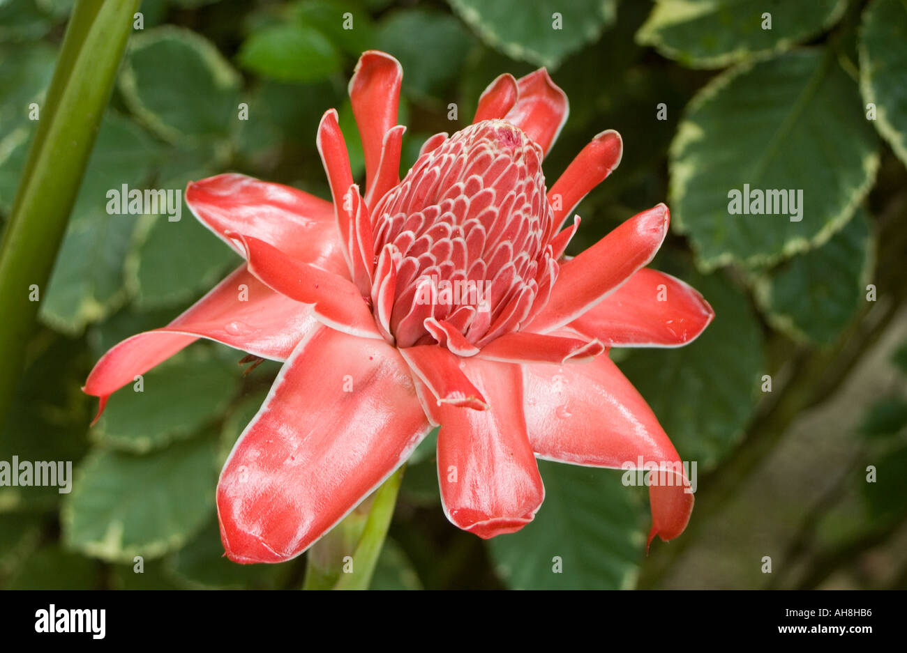 Furlong photography hi-res stock photography and images - Alamy
